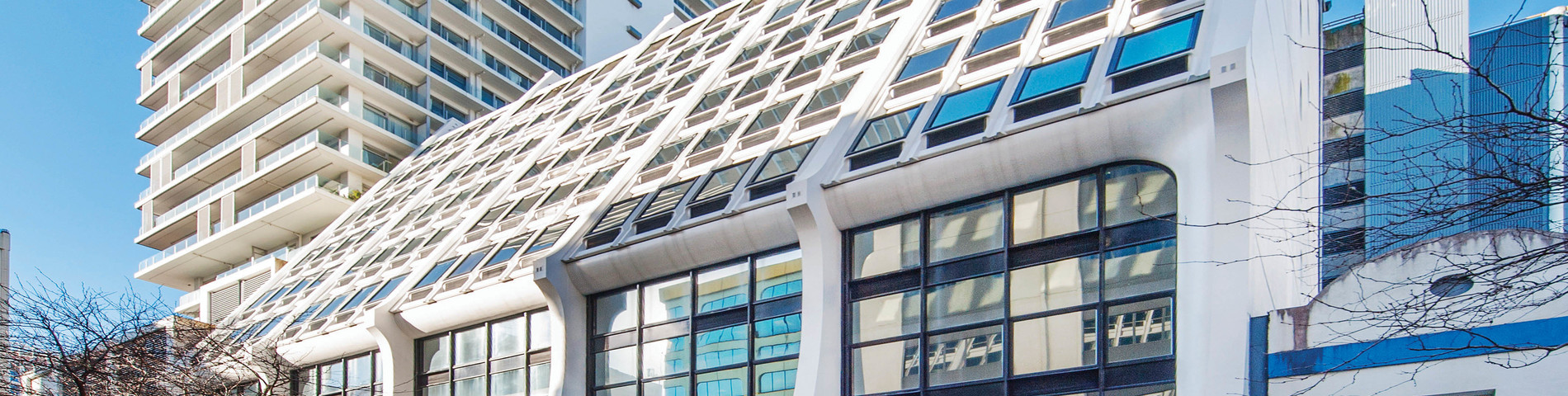 Auckland English Academy ( AEA) เรียนภาษาที่ Auckland นิวซีแลนด์